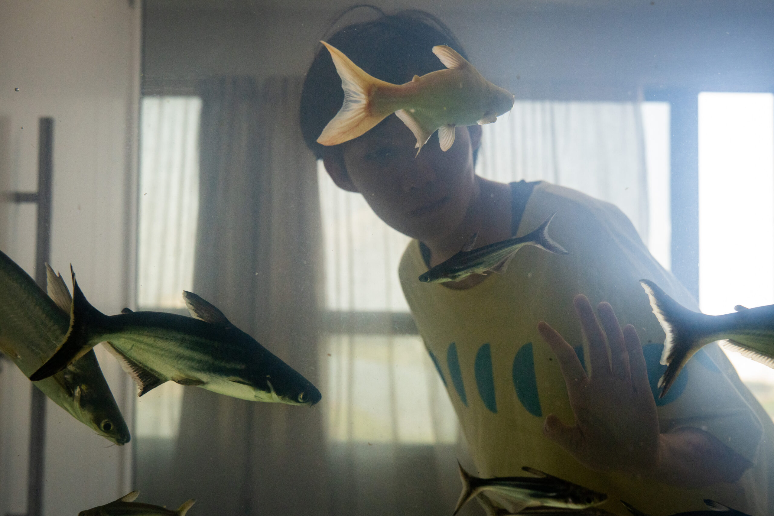 Sleep With Your Eyes Open - Blinkerfilm